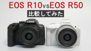 Canon EOS R10とEOS R50を徹底比較レビューしてみた - レビューから使い方まで解説したカメラブログ