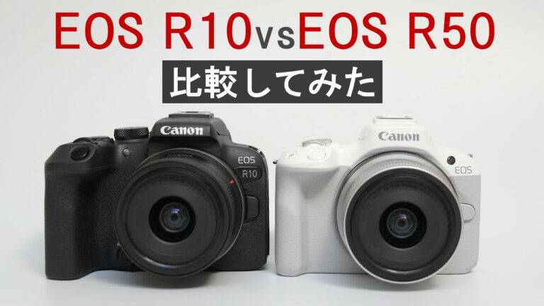 Canon EOS R100とEOS R50を徹底比較レビューしてみた - レビューから設定・撮影まで完全ガイド