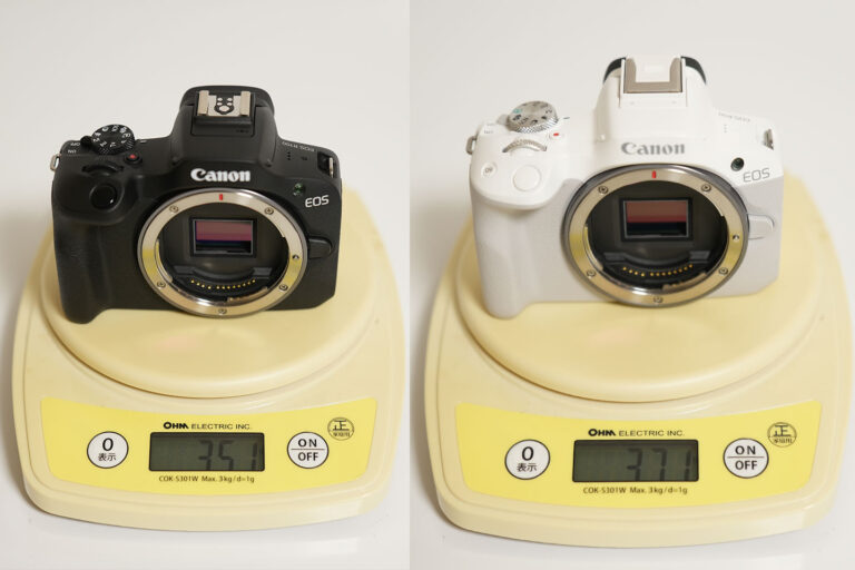 Canon EOS R100とEOS R50を徹底比較レビューしてみた - レビューから使い方まで解説したカメラブログ